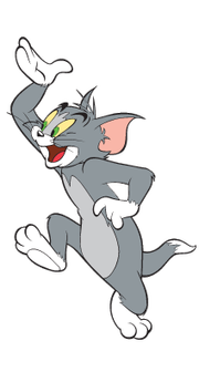 Tom Cat | Tom & Jerry Wiki | FANDOM powered by Wikia