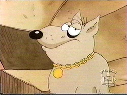 April 18, 1998 | Toon Disney Wiki | Fandom