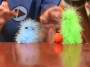 Schmuzzies | The Upside Down Wiki | Fandom