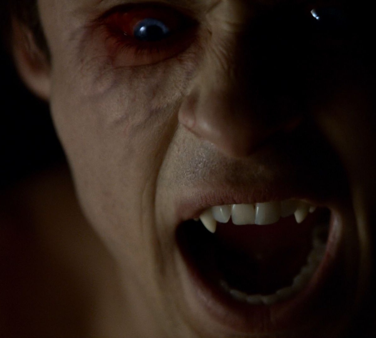 Vampiri | The Vampire Diaries & Originals Wiki | Fandom Vampiri | The Vampire Diaries & Originals Wiki | Fandom