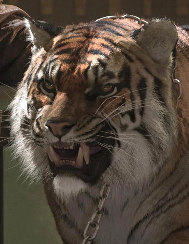 Shiva | The Walking Dead (TV) Wiki | FANDOM powered by Wikia