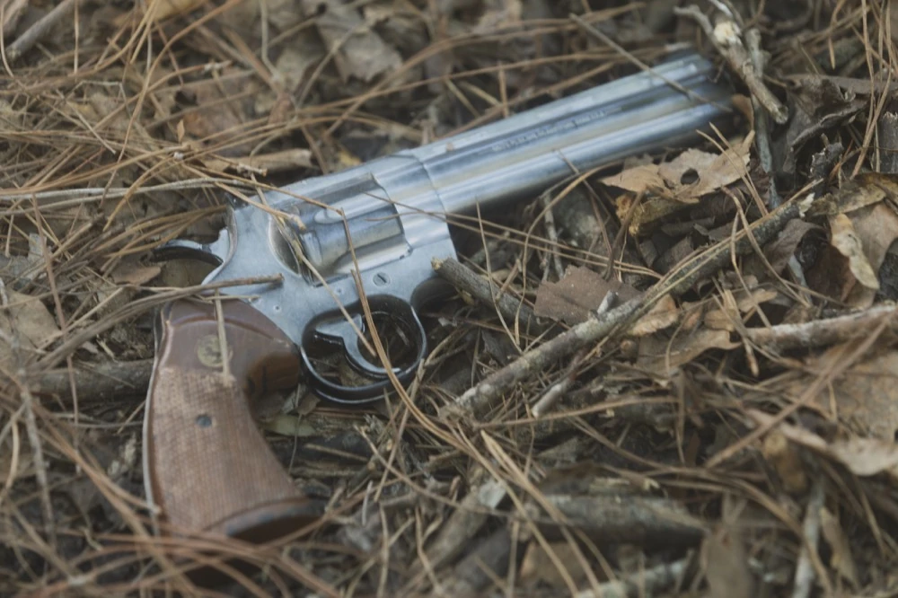 Colt Python | The Walking Dead (TV) Wiki | FANDOM powered by Wikia