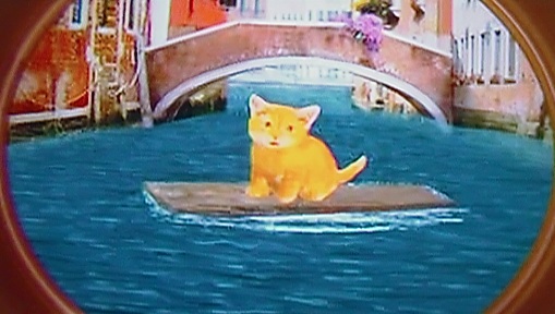 Save the Kitten! | Wonder Pets! Wiki | FANDOM powered by Wikia