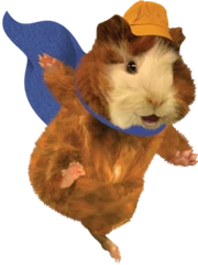 Linny/Gallery | Wonder Pets! Wiki | Fandom