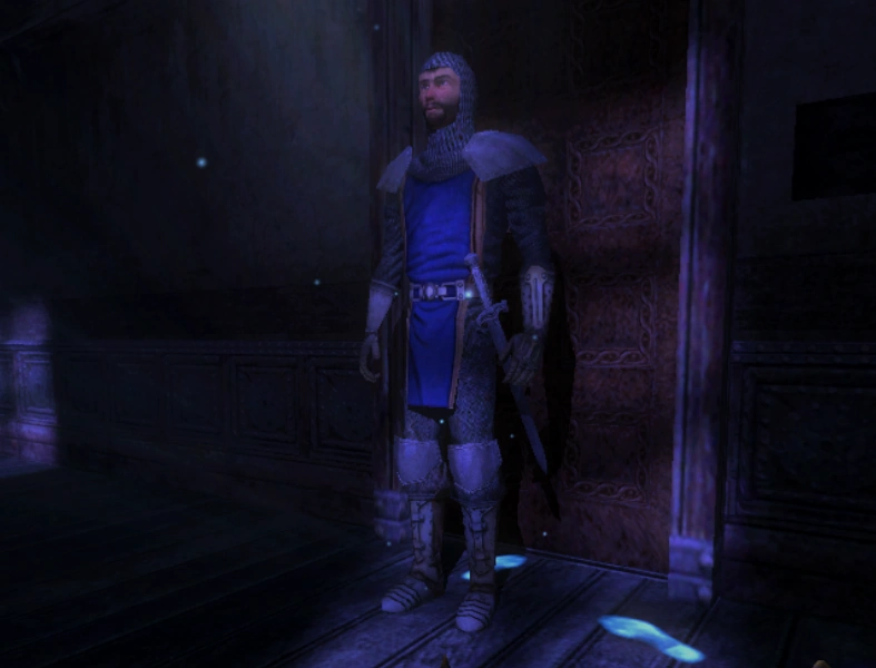 Common Sword Guard | Thief Wiki | Fandom