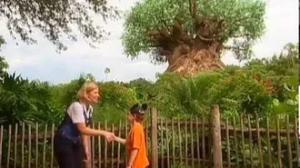 This is Daniel Cook at a Theme Park | This is Kids Wiki | Fandom