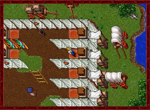 Travora | TibiaWiki | Fandom