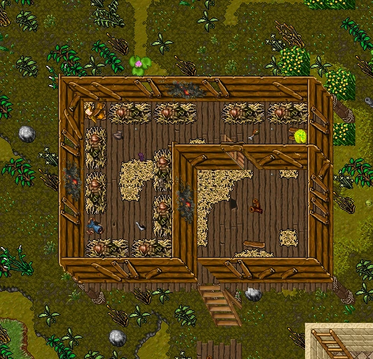 Venore Poorhouse | TibiaWiki | Fandom