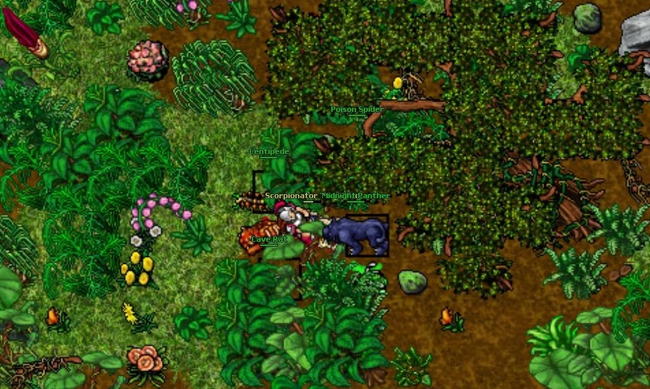 Midnight Panther | TibiaWiki | FANDOM powered by Wikia