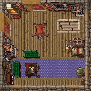 Dawnport Libraries | TibiaWiki | Fandom