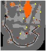 Braindeath Quest | Tibialatin Wiki | Fandom