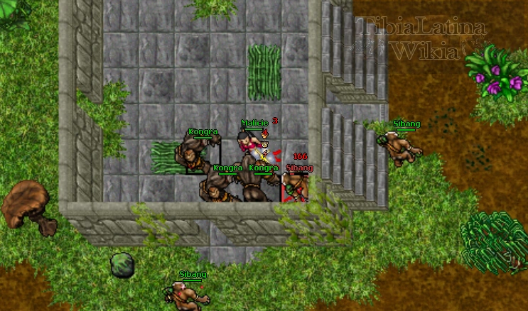 Banuta | Tibialatin Wiki | FANDOM powered by Wikia