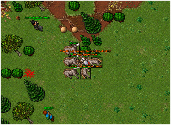 Donkey | Tibialatin Wiki | Fandom