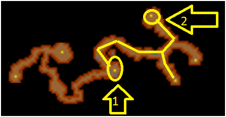Pick Quest | Tibialatin Wiki | Fandom