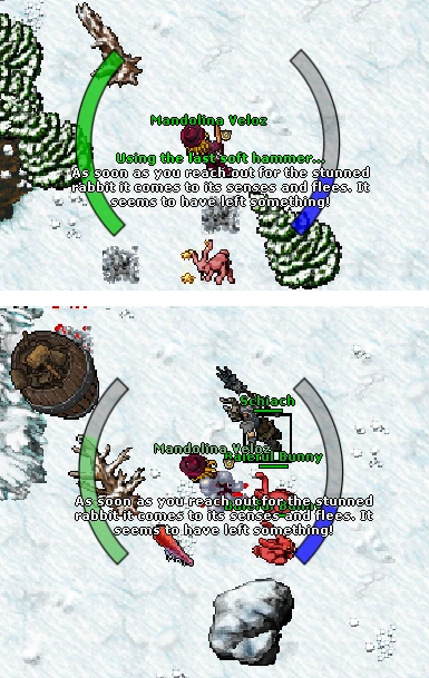 Winterlight Solstice | Tibialatin Wiki | Fandom