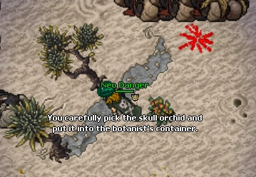 Krailos Quest | Tibialatin Wiki | Fandom