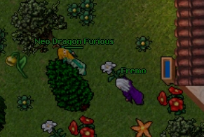 Pilgrimage of Ashes Quest | Tibialatin Wiki | Fandom