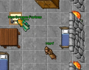 Pilgrimage of Ashes Quest | Tibialatin Wiki | Fandom