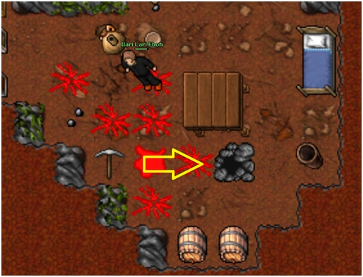 Bear Room Quest | Tibialatin Wiki | Fandom