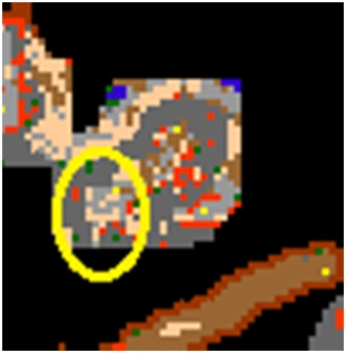 Medusa Shield Quest | Tibialatin Wiki | Fandom