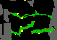 The Hidden City of Beregar Quest | Tibialatin Wiki | FANDOM powered by Wikia