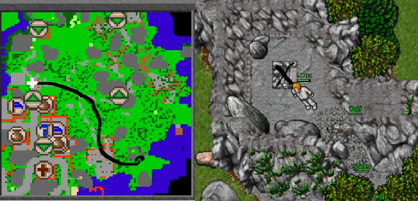 Dragon Corpse Quest | Tibialatin Wiki | Fandom