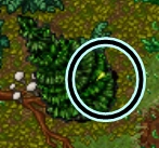 Demon's Lullaby | Tibialatin Wiki | Fandom