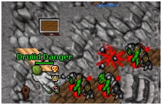 The Explorer Society Quest | Tibialatin Wiki | Fandom