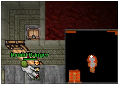 The Explorer Society Quest | Tibialatin Wiki | Fandom