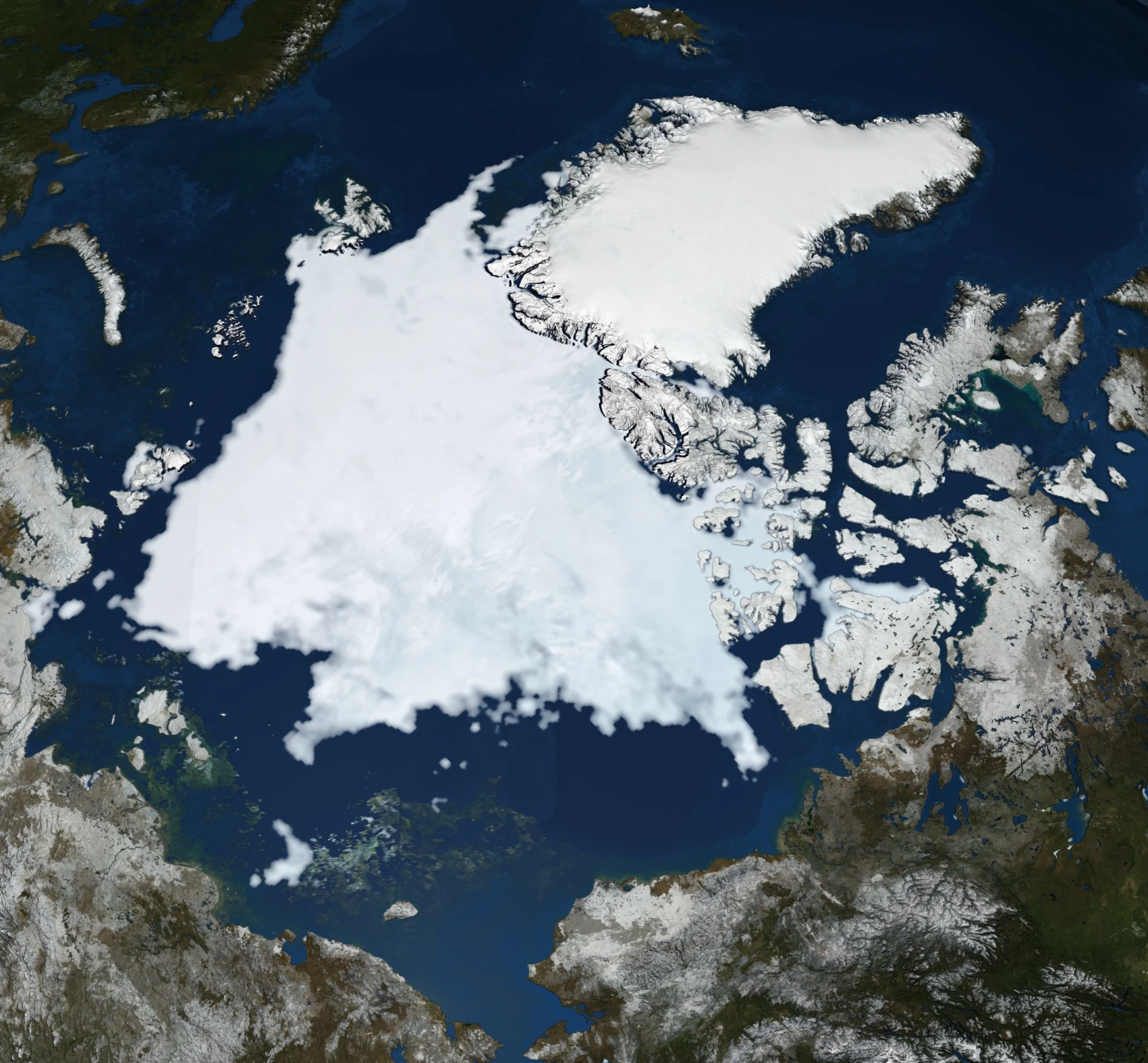 The Arctic | Tier Zoo Wiki | Fandom