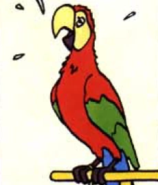 Coco (Les Bijoux de la Castafiore) | Wiki Tintin | Fandom