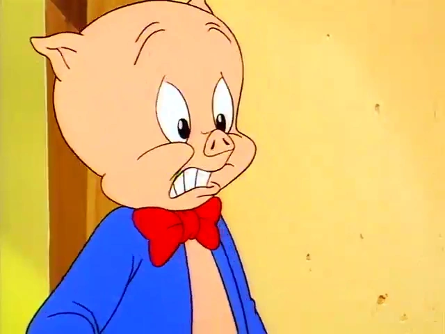 Porky | TINY TOONS Wiki | Fandom