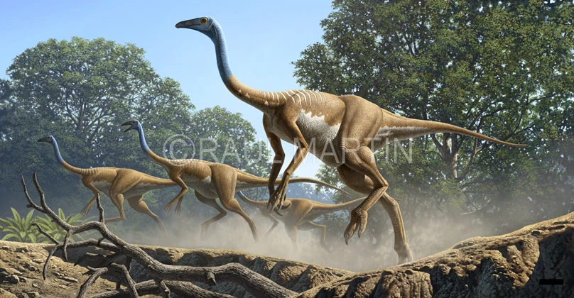 Struthiomimus | Wiki Mesozoico | Fandom