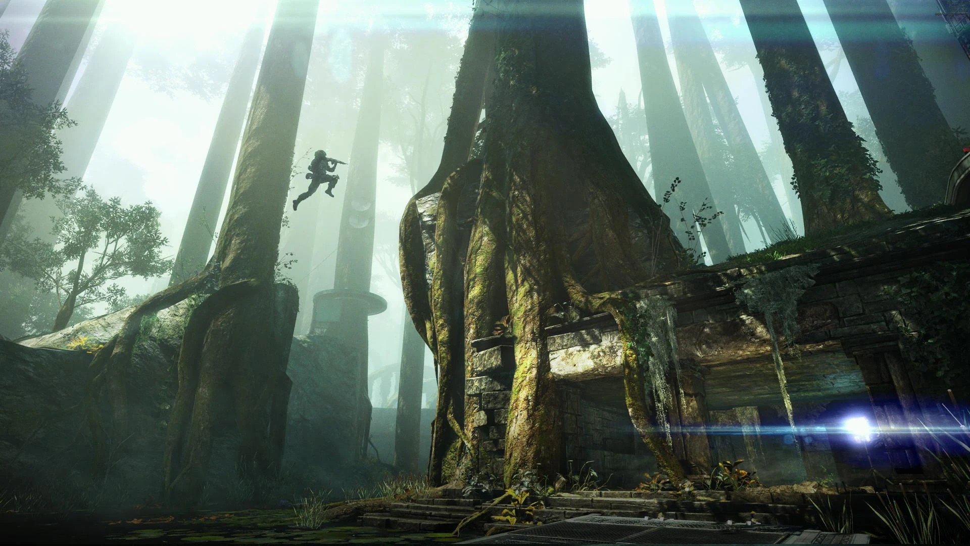 Swampland | Titanfall Wiki | Fandom