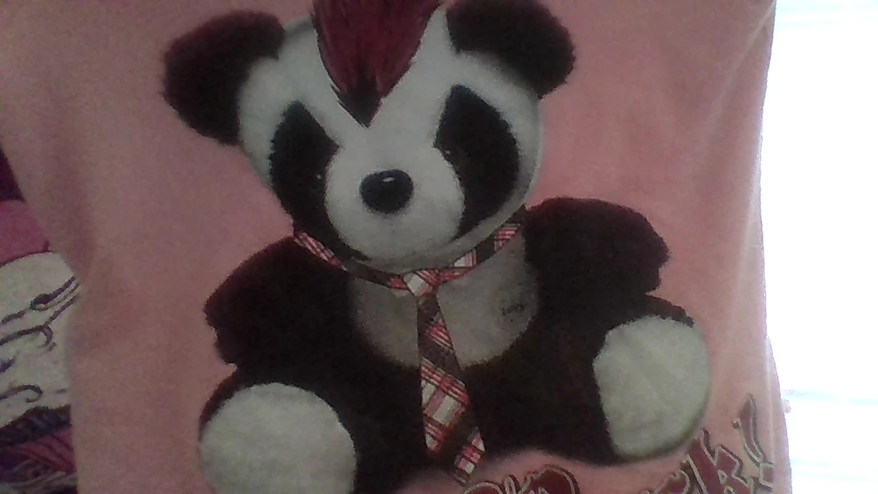 Panda's Mom | Titototter Wiki | Fandom