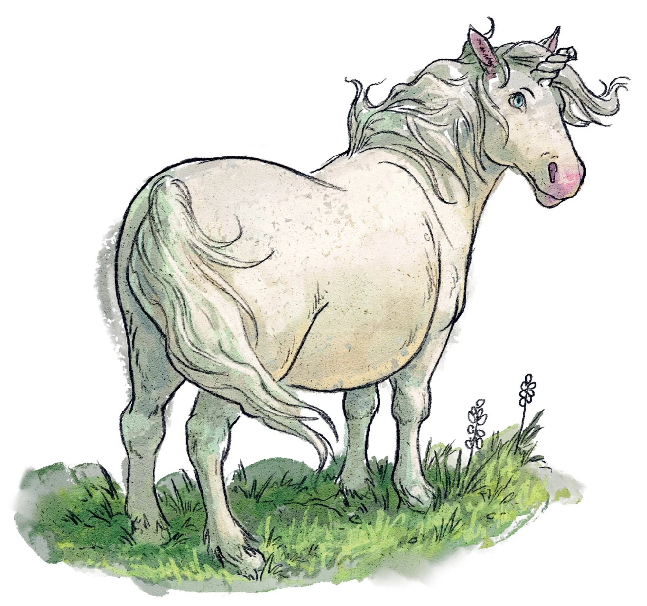 Cornelius | The Land Of Stories Wiki | Fandom