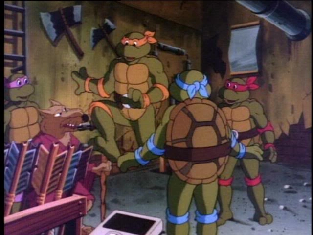 Sky Turtles | TMNTPedia | FANDOM powered by Wikia