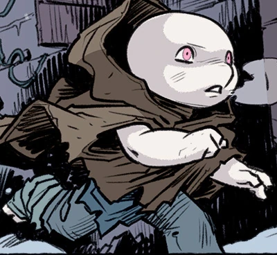 Lita (IDW) | TMNTPedia | Fandom