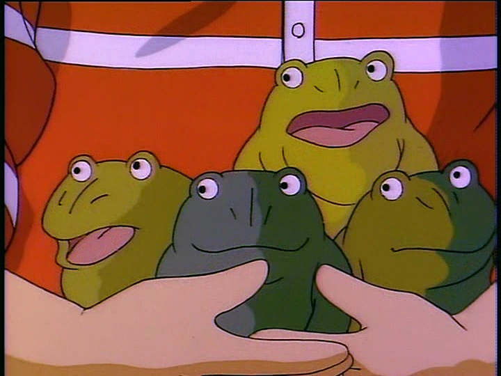 Teenage Mutant Ninja Turtles Punk Frogs