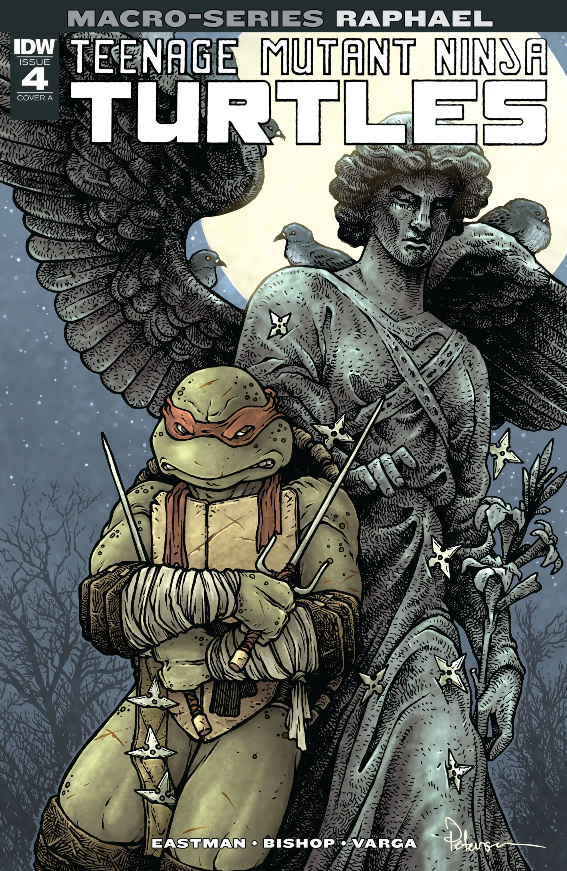 Raphael (IDW Macro-Series issue) | TMNTPedia | Fandom