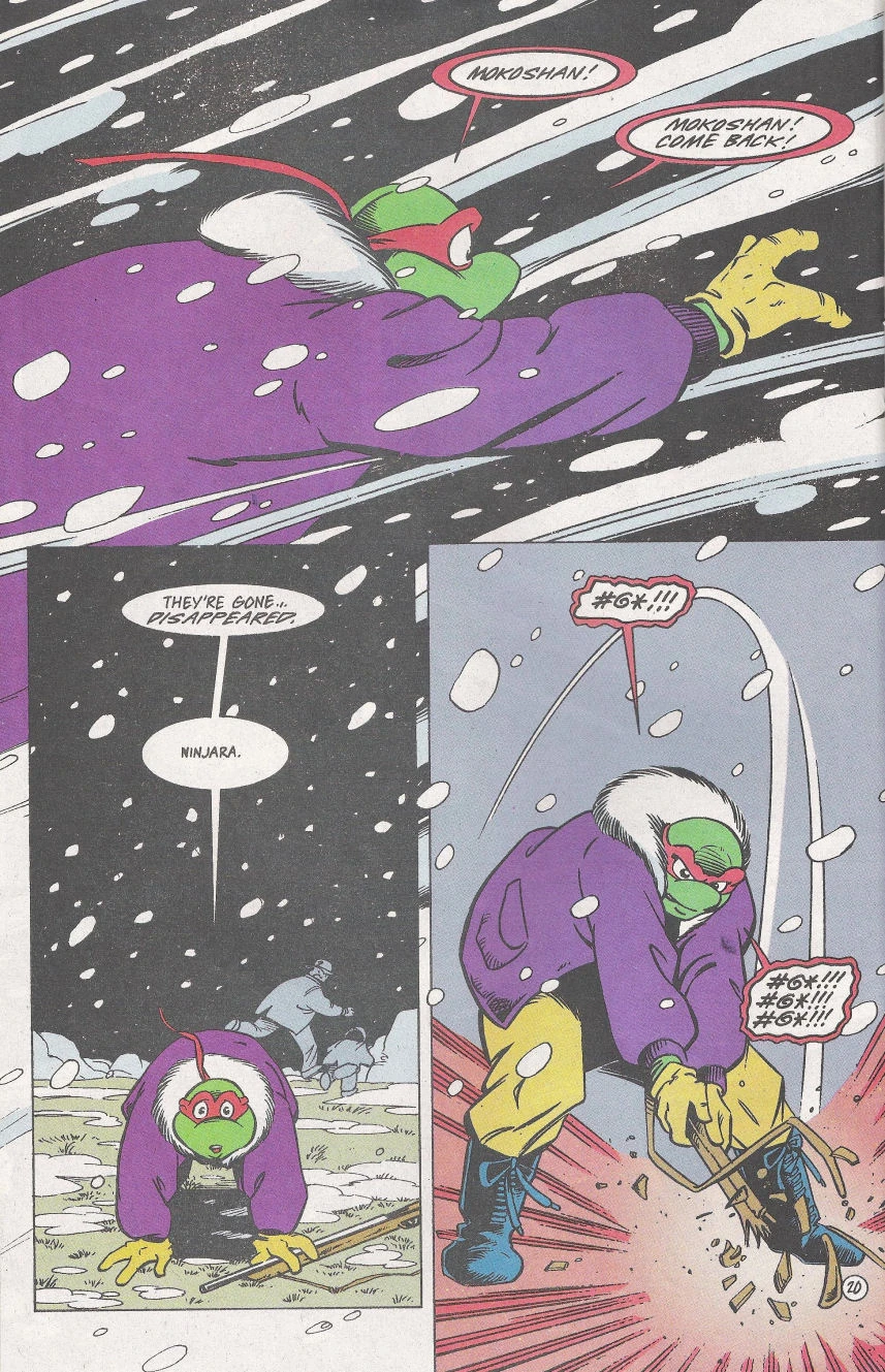 Raphael (Archie)/Gallery | TMNTPedia | Fandom