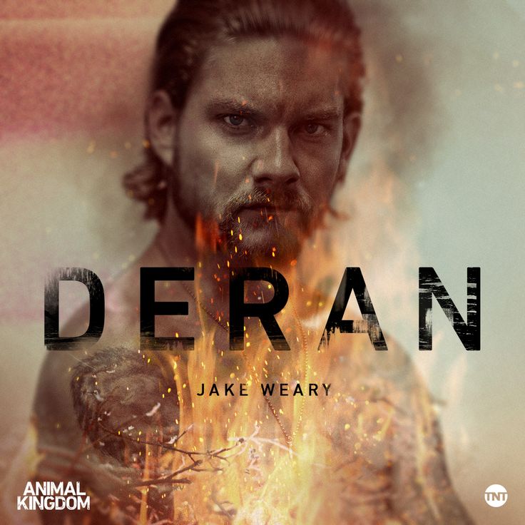 Deran Cody | Animal Kingdom Wiki | Fandom Deran Cody | Animal Kingdom Wiki | Fandom