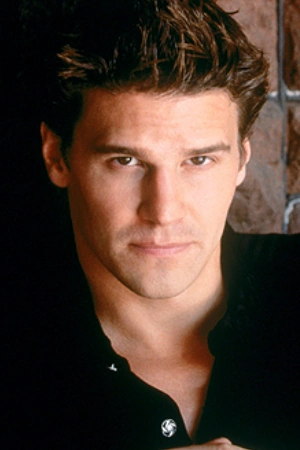 Angel (Buffy the Vampire Slayer) | Movie and TV Wiki | Fandom