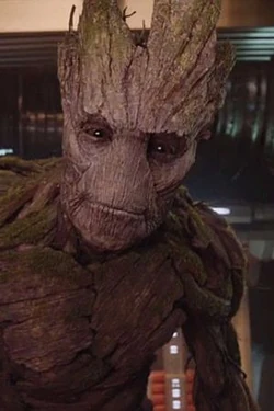 Groot (MCU) | Movie and TV Wiki | Fandom