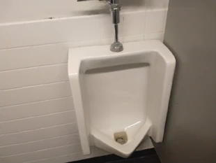 American Standard Washbrook | Toilets and Urinals Wiki | Fandom