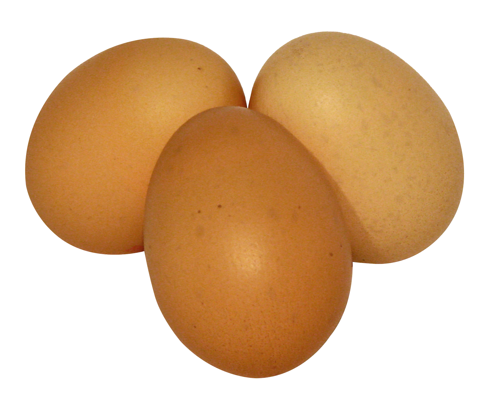 Image Egg png Wikipesija FANDOM Powered By Wikia image-egg-png-wikipesija-fandom-powered-by-wikia