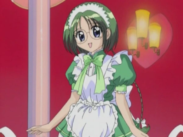 Tokyo Mew Lettuce