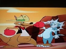 Punchy | Tom and Jerry Wiki | Fandom