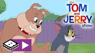 Anger Mismanagement | Tom and Jerry Wiki | Fandom