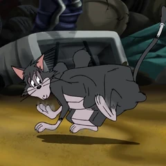 City Dump Chumps | Tom and Jerry Wiki | FANDOM powered by Wikia